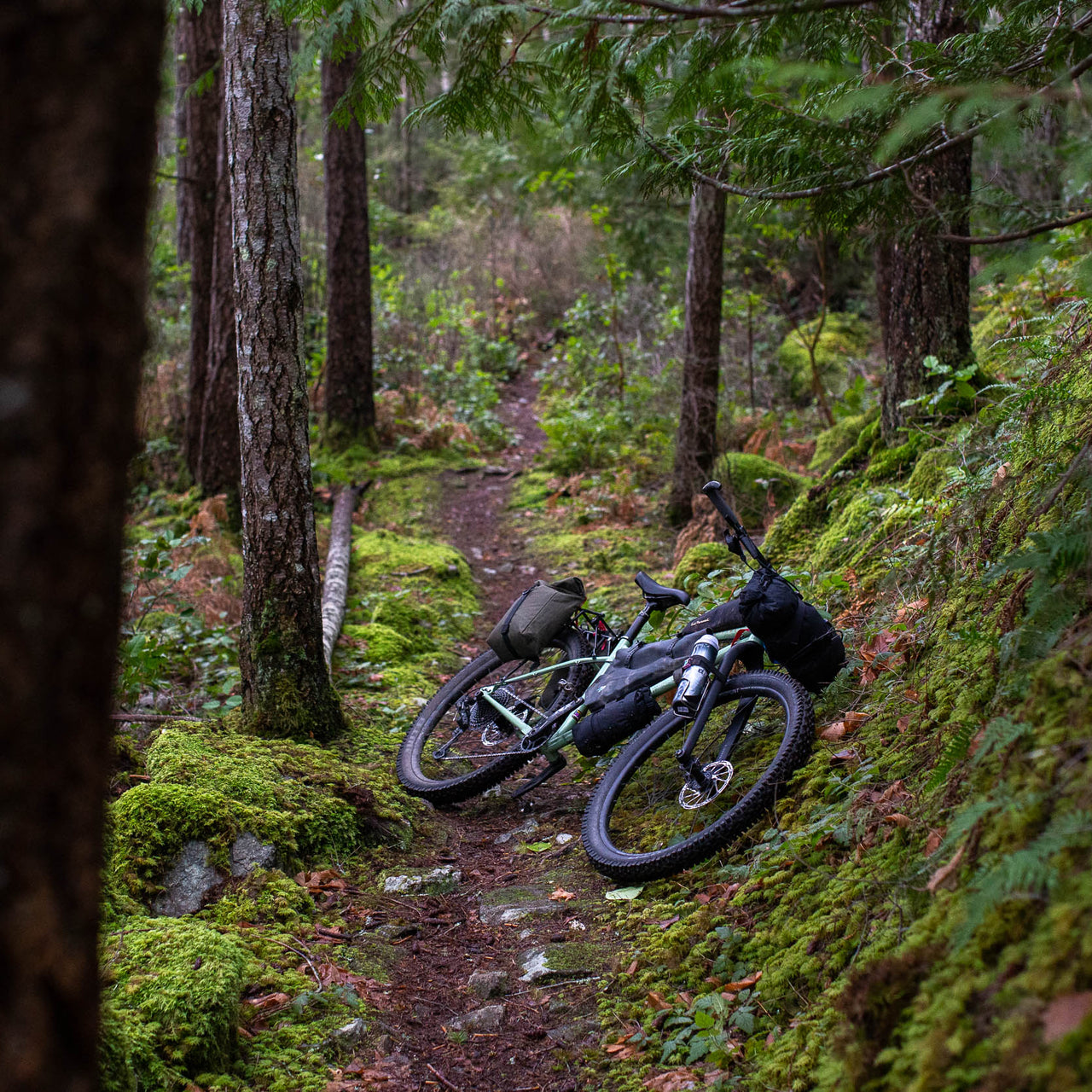 Vélo Touring Tout Terrain – Panorama Cycles
