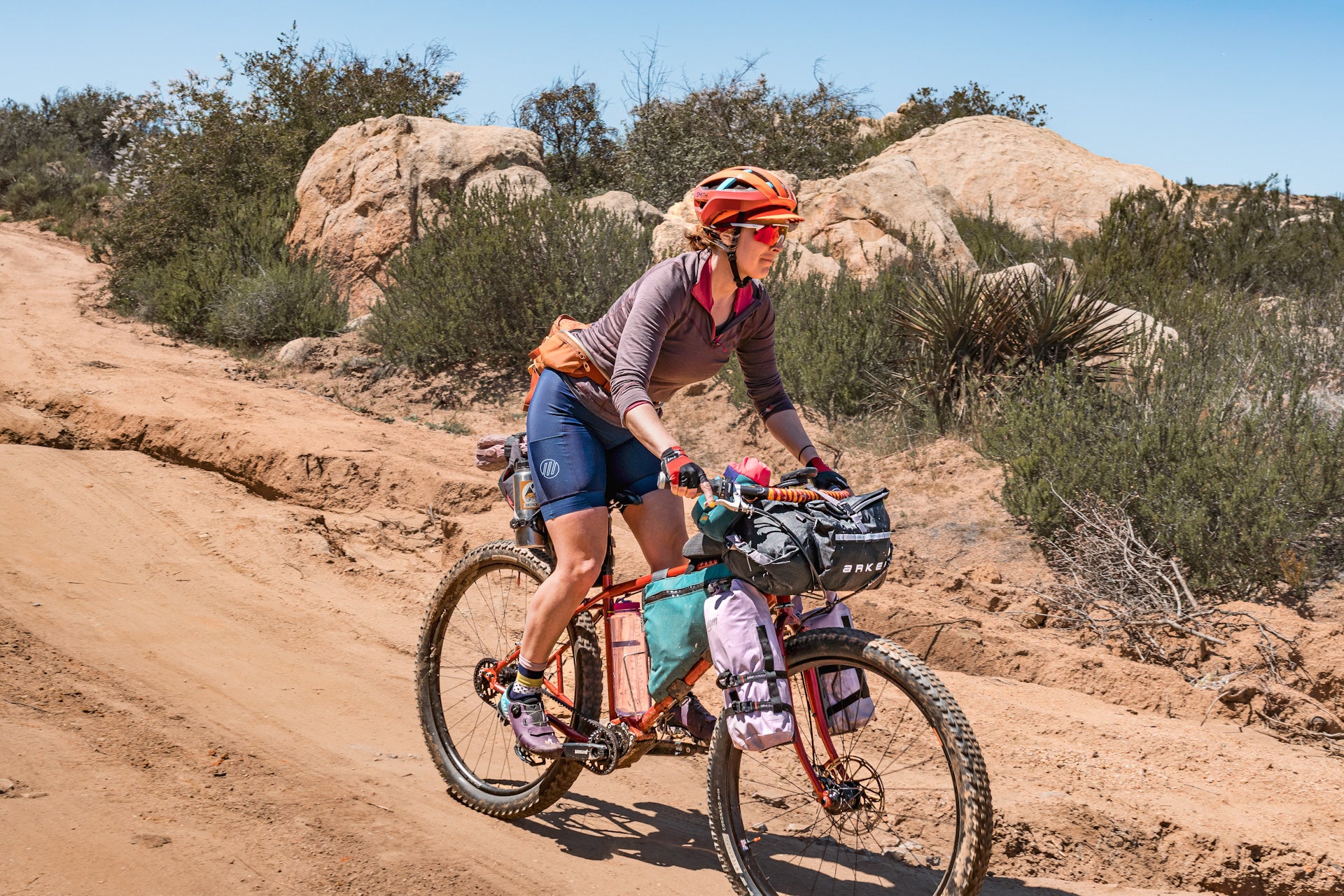 Boreal Pinion - All Terrain Steel Touring Bike – Panorama Cycles